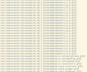 Phone Menu Prompts – HOLDCOM